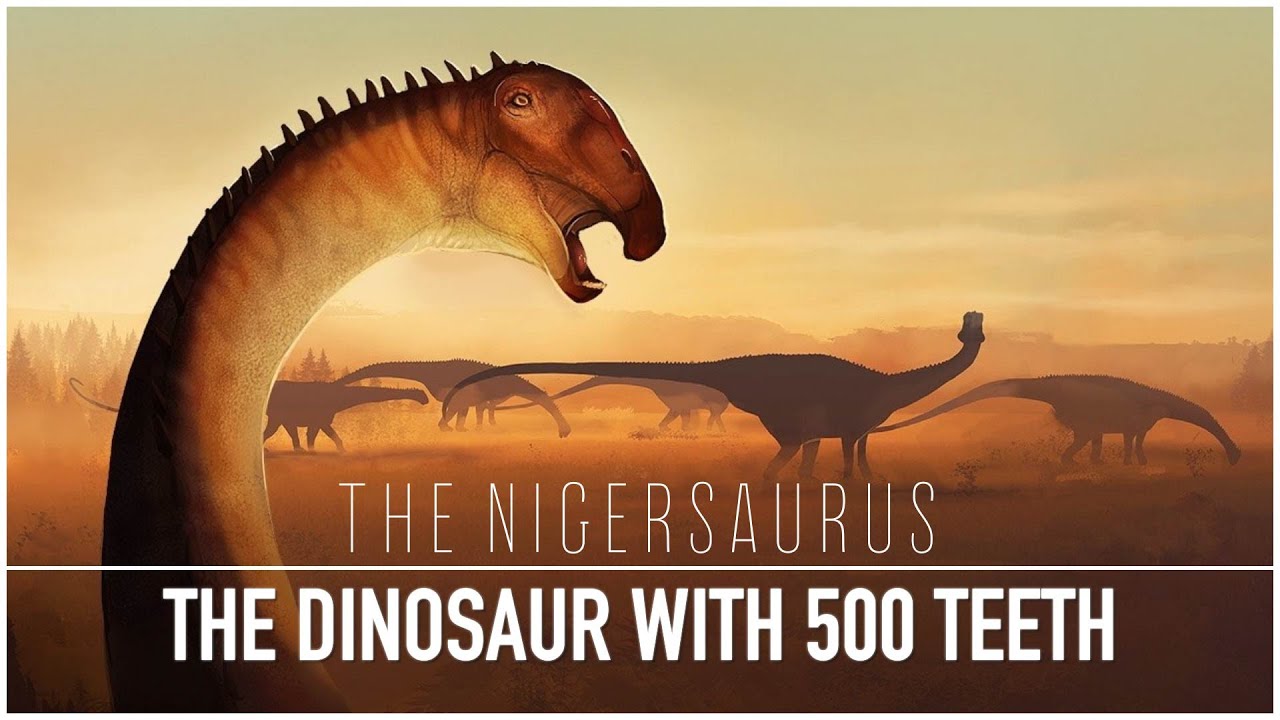 Nigersaurus; The Dinosaur with 500+ Teeth