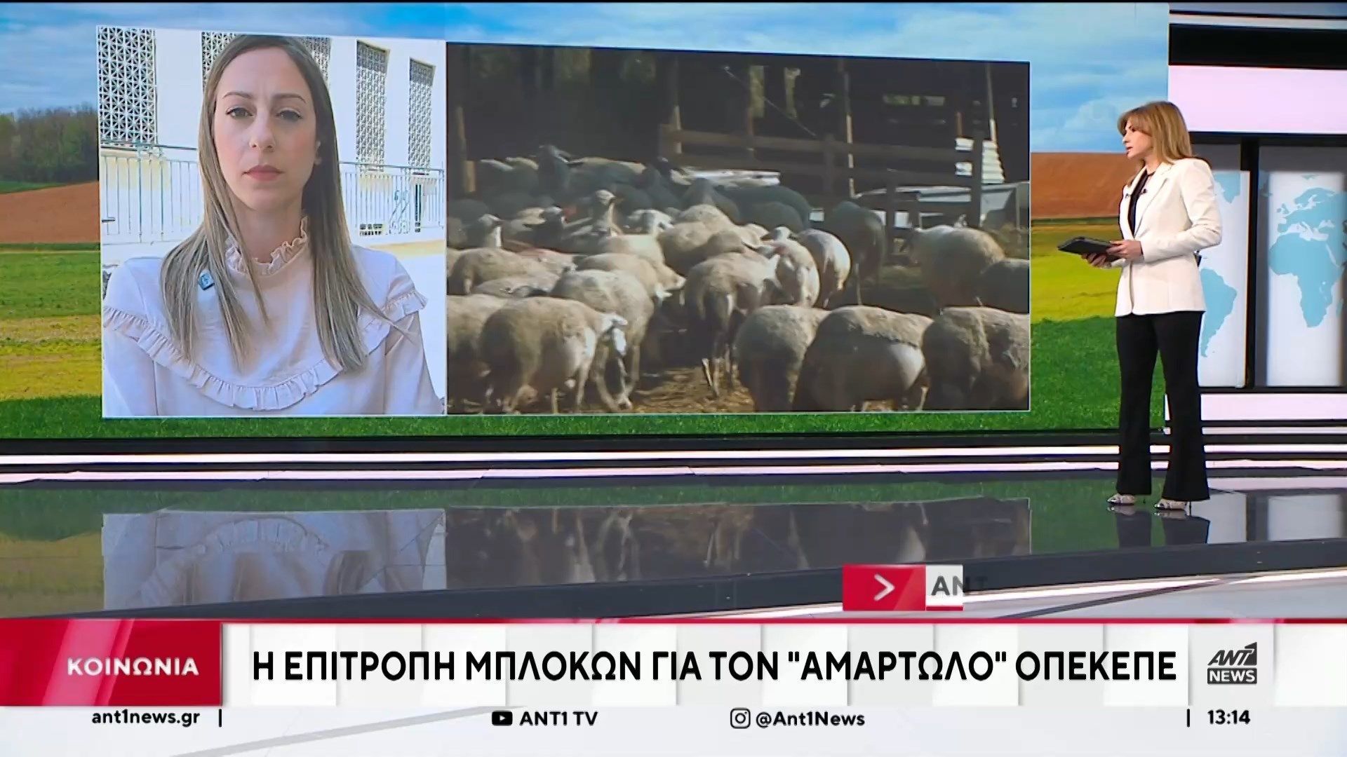 Πανελλαδική Επιτροπή Μπλόκων: Η αιφνιδιαστική ταφόπλακα στον ΟΠΕΚΕΠΕ ...