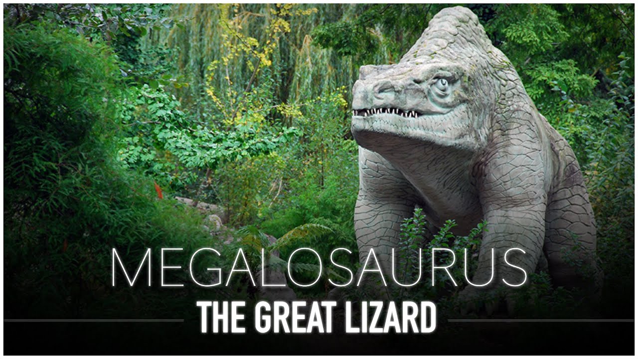 Megalosaurus; The ENORMOUS 'Great' Lizard