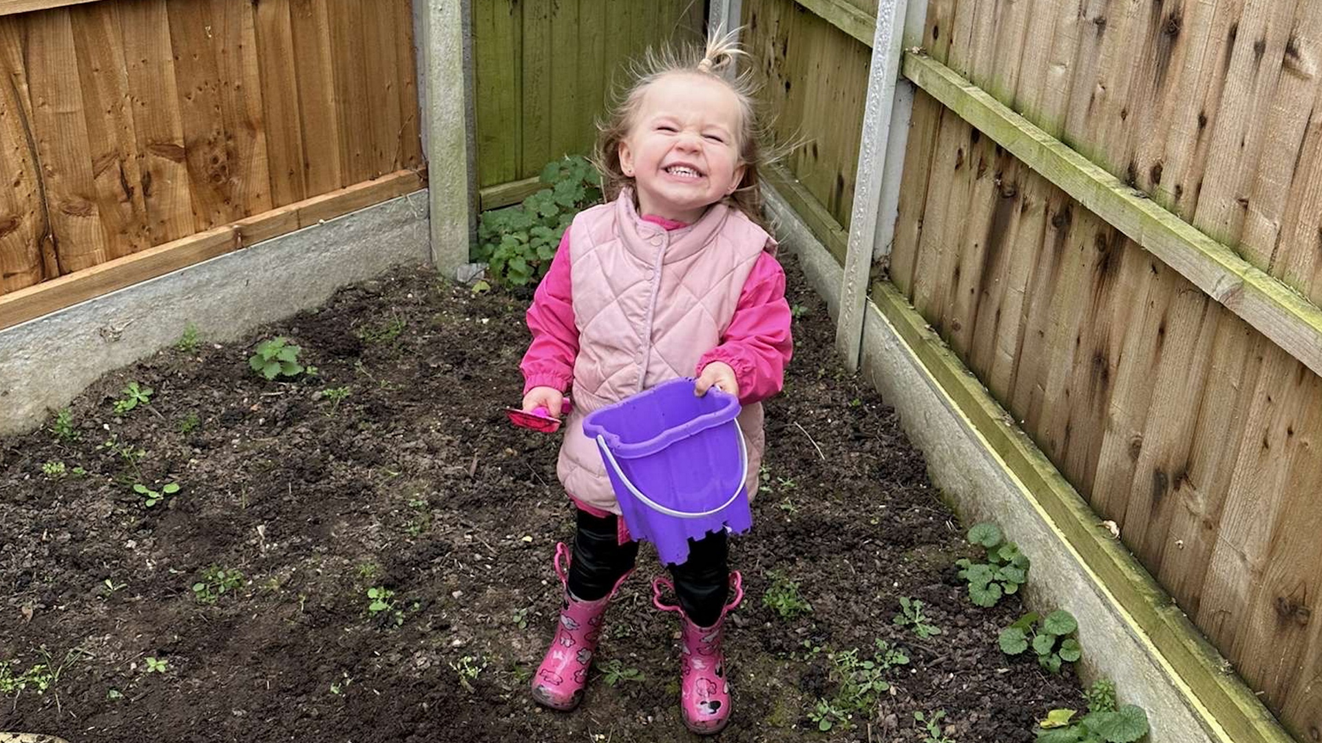 Pint-sized gardener builds "fairy garden" full of fruit and veg to feed ...