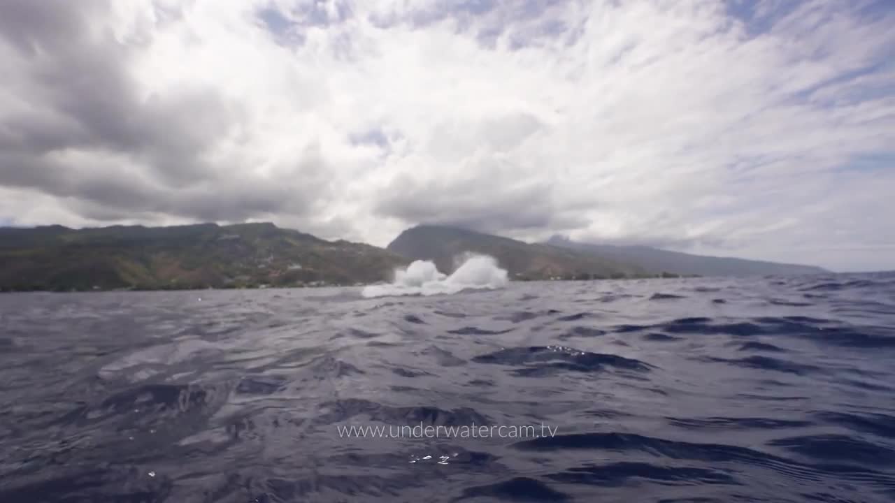 Humpback Whale breaching, comes up from the blue and jumps out of the ...