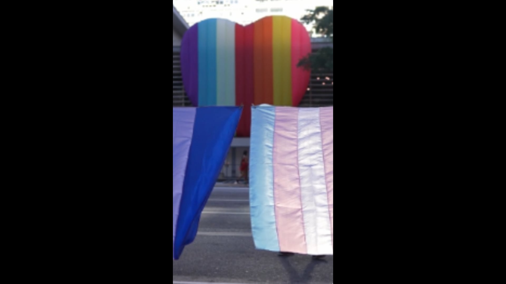 El Significado Detrás De 5 Banderas Icónicas Del Orgullo LGBTQ.