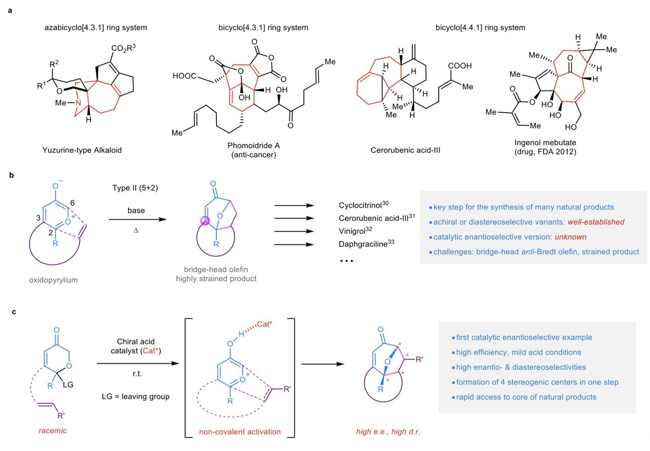 Chemists develop new method to synthesize chiral bridged polycyclic ...