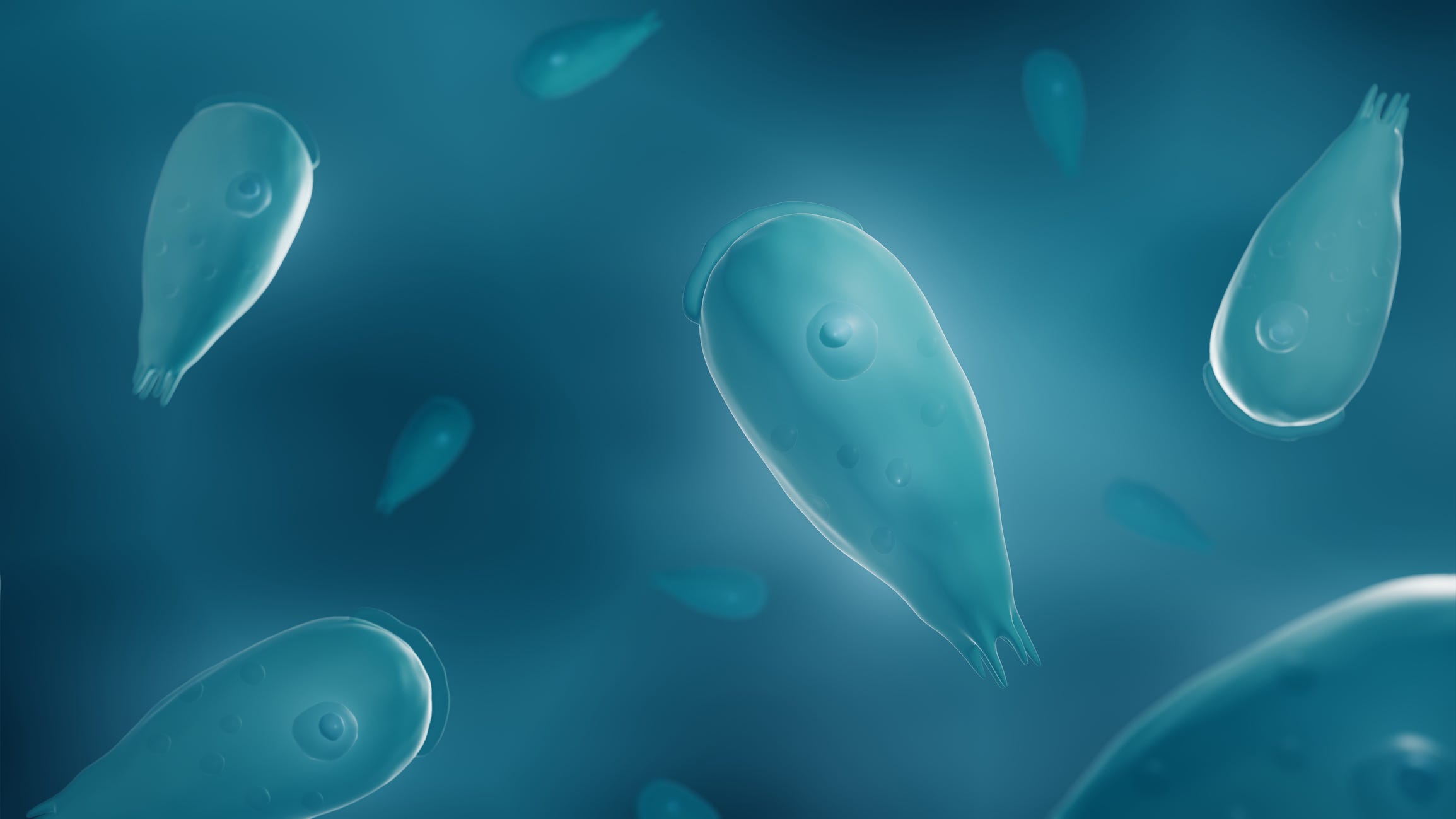 Brain-eating amoeba case reported in SC: How to avoid Naegleria fowleri ...