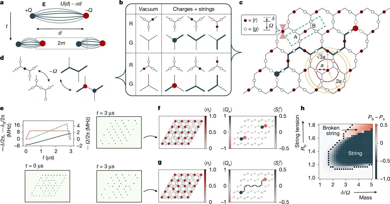 'String breaking' observed in 2D quantum simulator