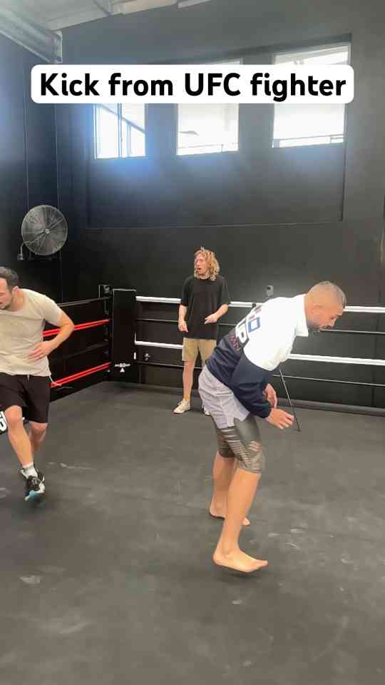 What it feels like to get kicked by a UFC fighter