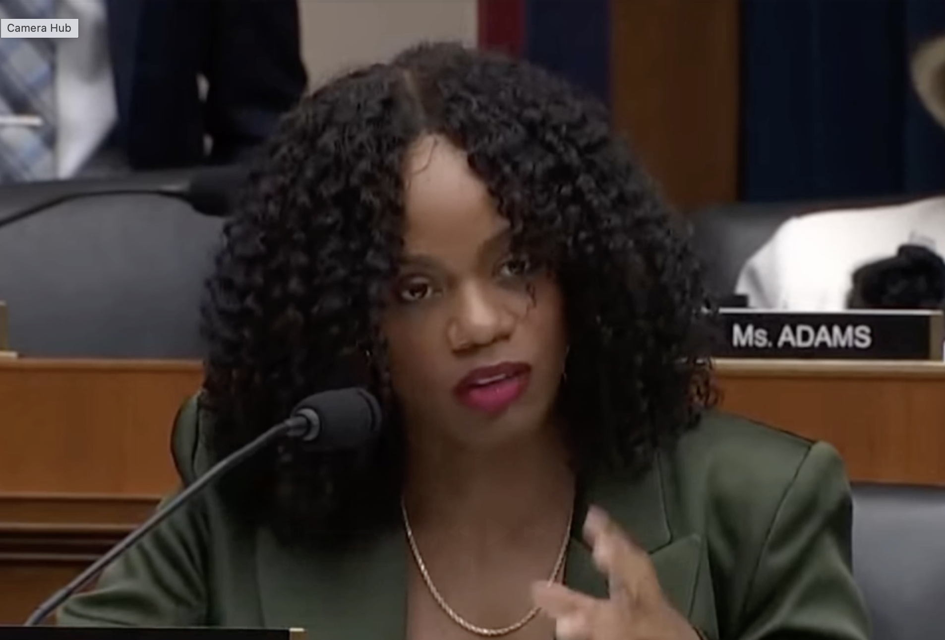 ‘Racism We Haven’t Seen Since Jim Crowe’: Rep. Summer Lee Grills Linda ...