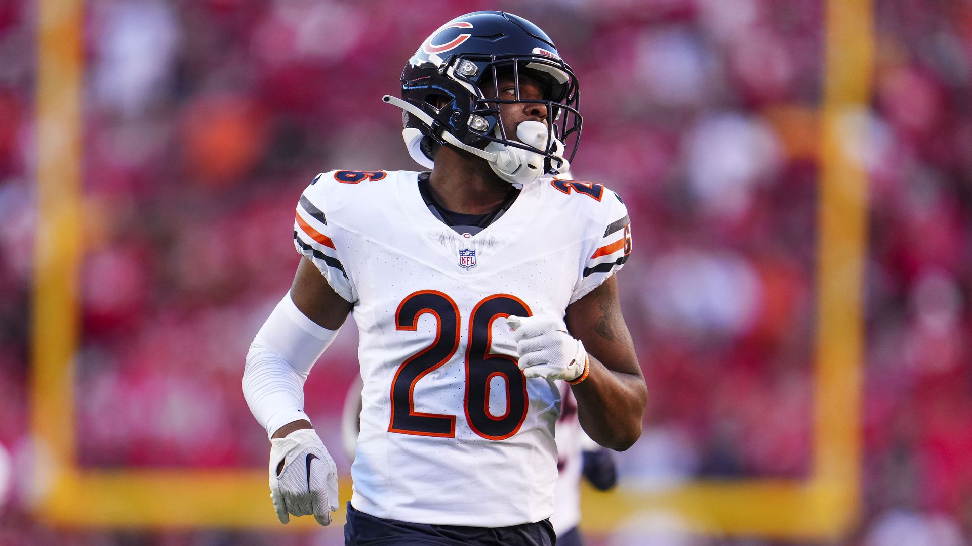 Steelers sign safety