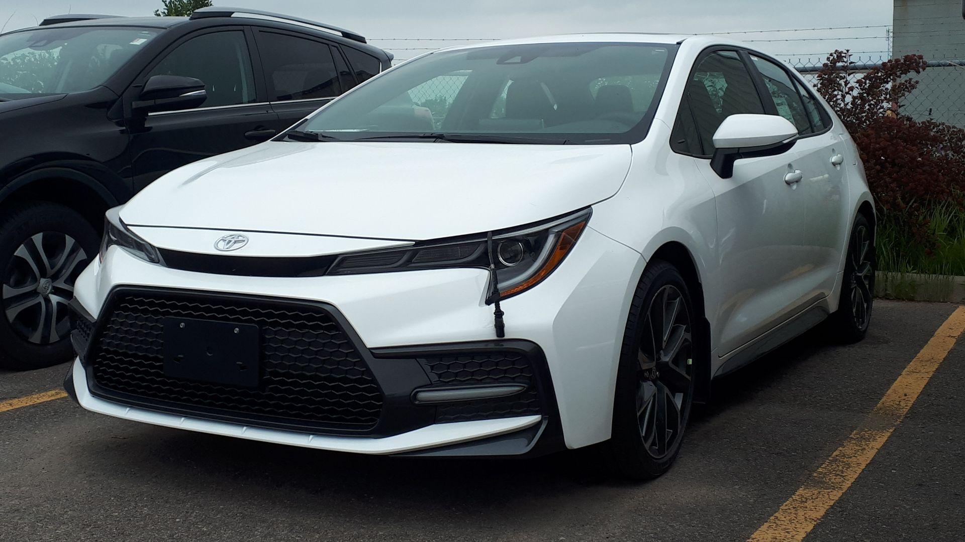 20 Basic Cars That Drive Faster Than They Look