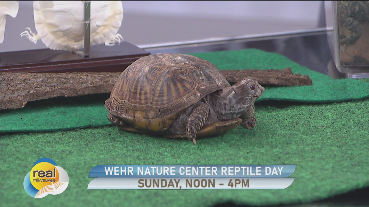 Real Milwaukee | June 4, 2025