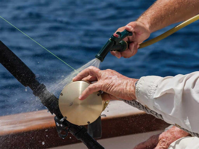 Essential Tips for Fishing Reel Maintenance and Aftermarket Performance ...