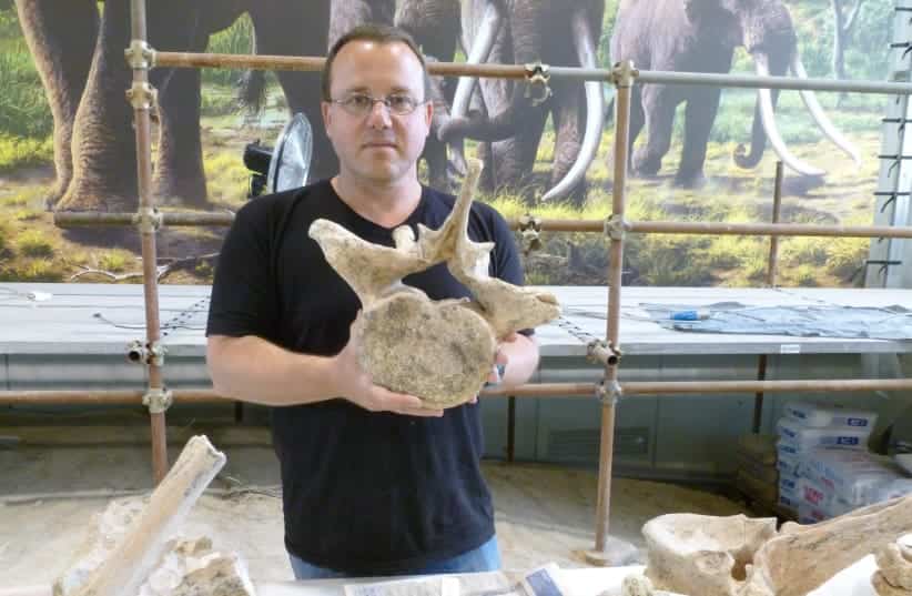 Prehistoric Humans Lit Fires to Smoke Meat a Million Years Ago