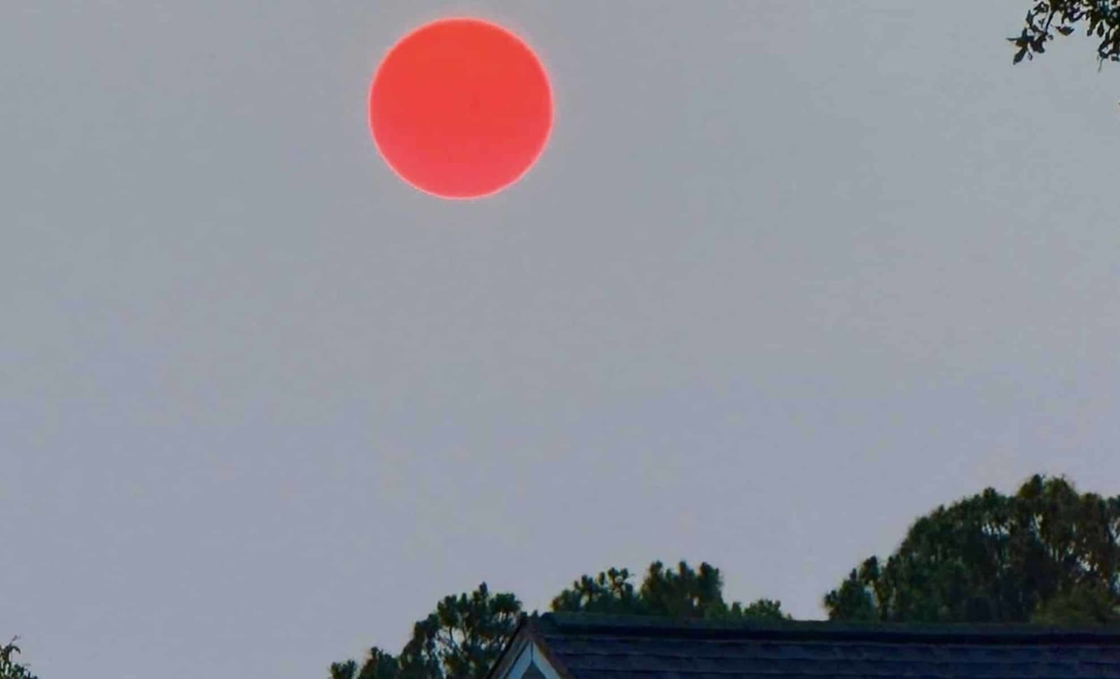 They Saw This Florida Sunset… And Are Convinced Reality is Fake