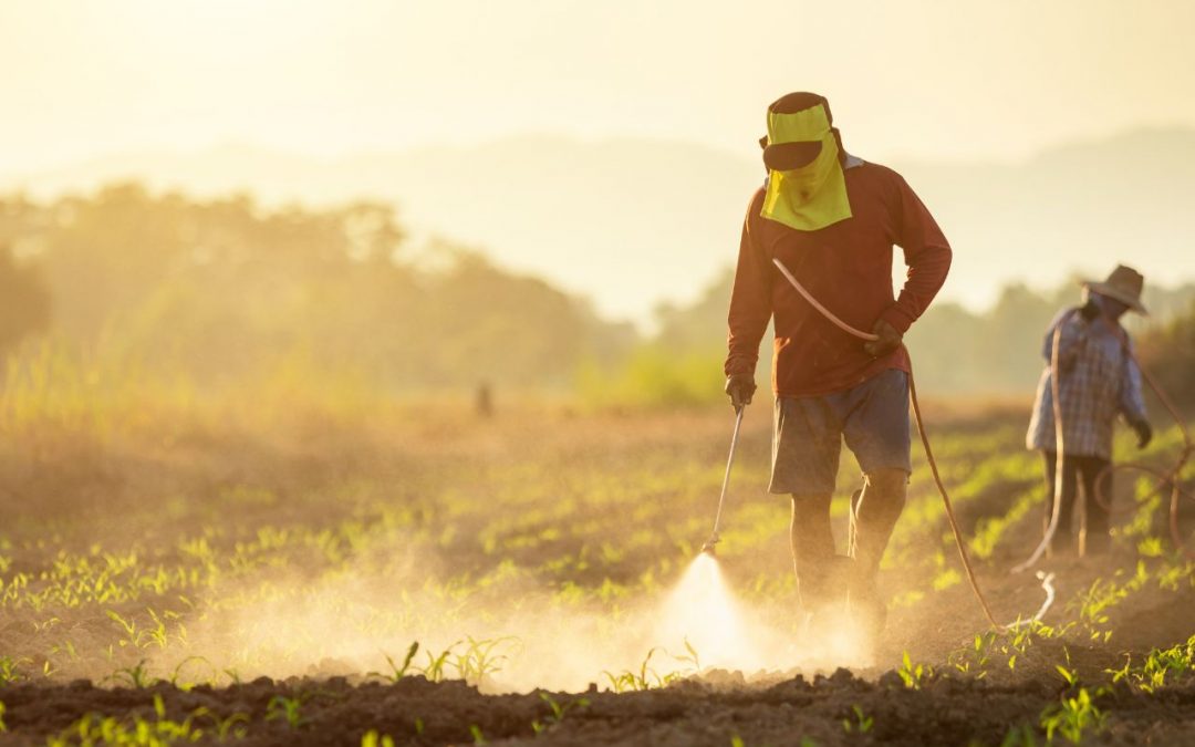 Why did Fertilizers and Chemicals Travancore shares skyrocket by 20% today?