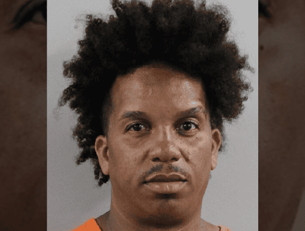 Malnourished Horses, Deceased Equine, And Toxic Hazards Uncovered In ...