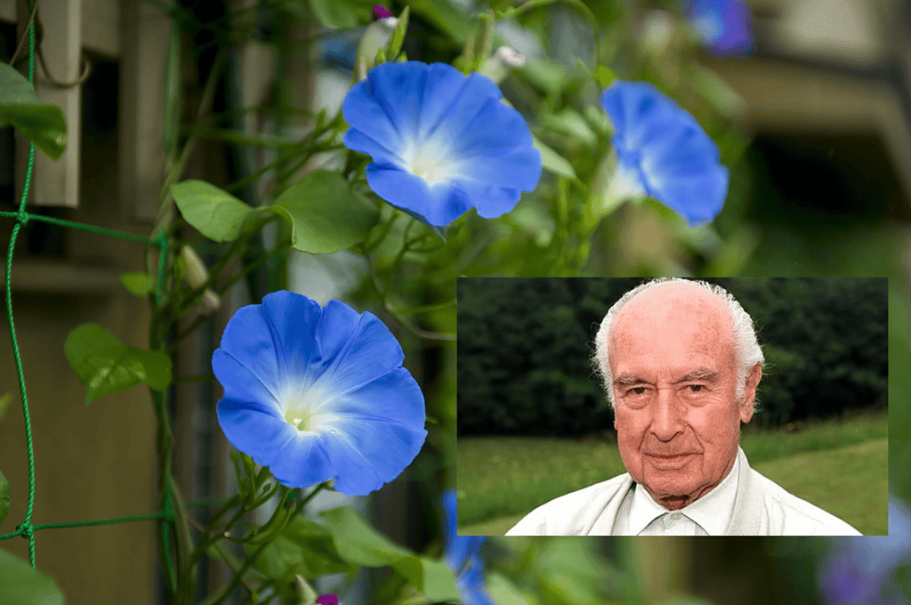 Student Finds the Psychedelic Fungus the Inventor of LSD Spent His Life ...