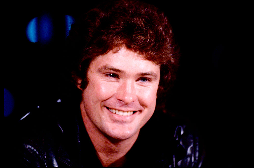 David Hasselhoff: Little-Known Facts About His Life And Career