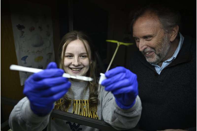 Student Finds the Psychedelic Fungus the Inventor of LSD Spent His Life ...