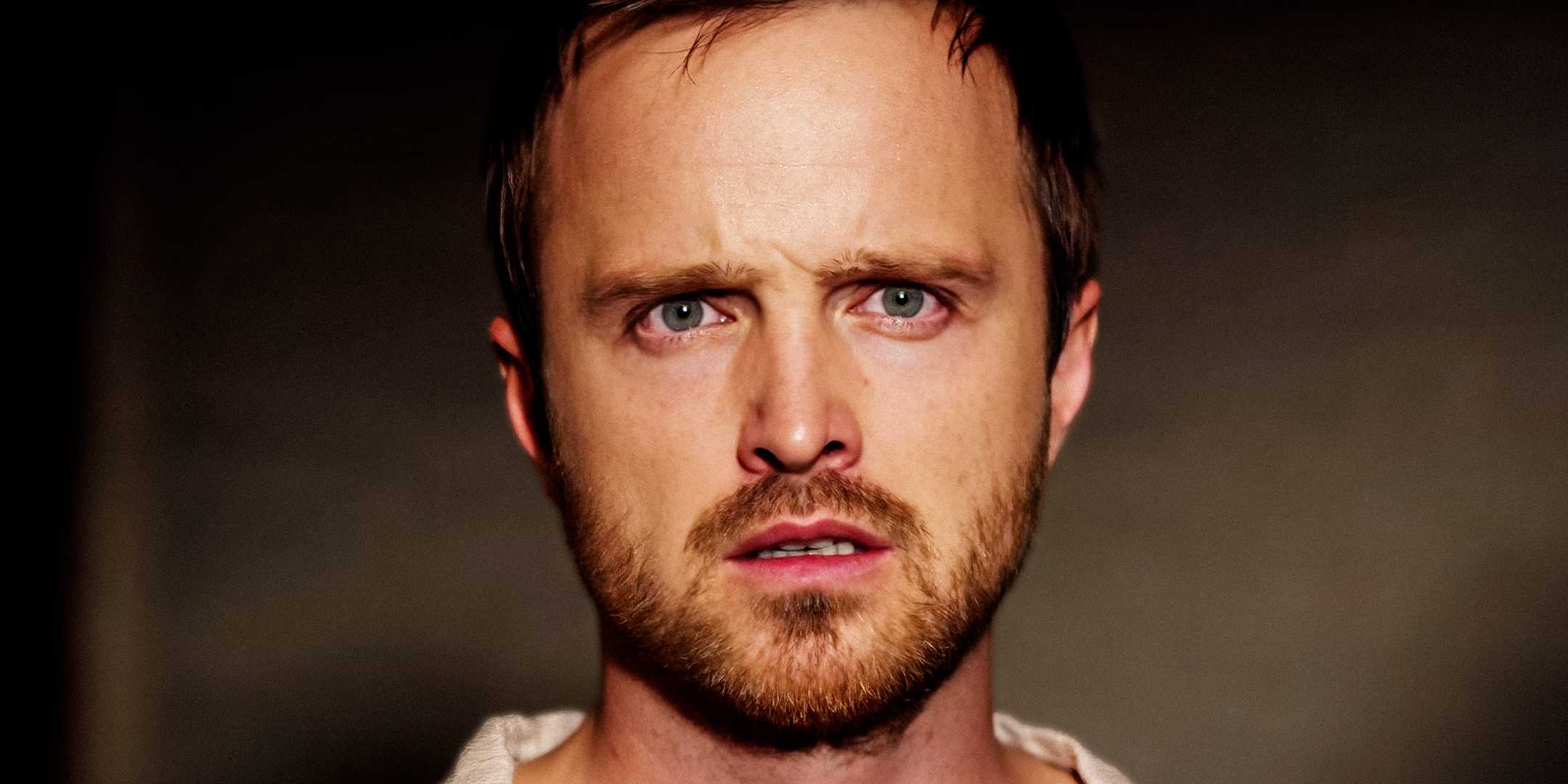 Aaron Paul's Canceled Hulu Show Features Some Of His Best Acting Ever & Is A Must-Watch After ...