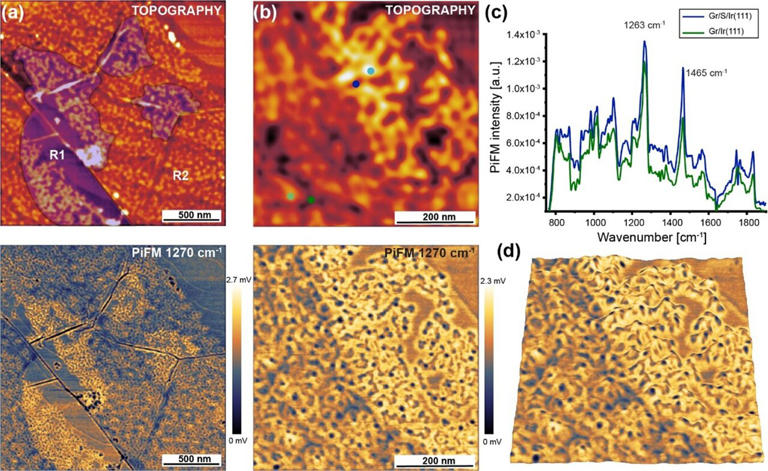 Revealing hidden transformations in 2D materials with atomic force ...