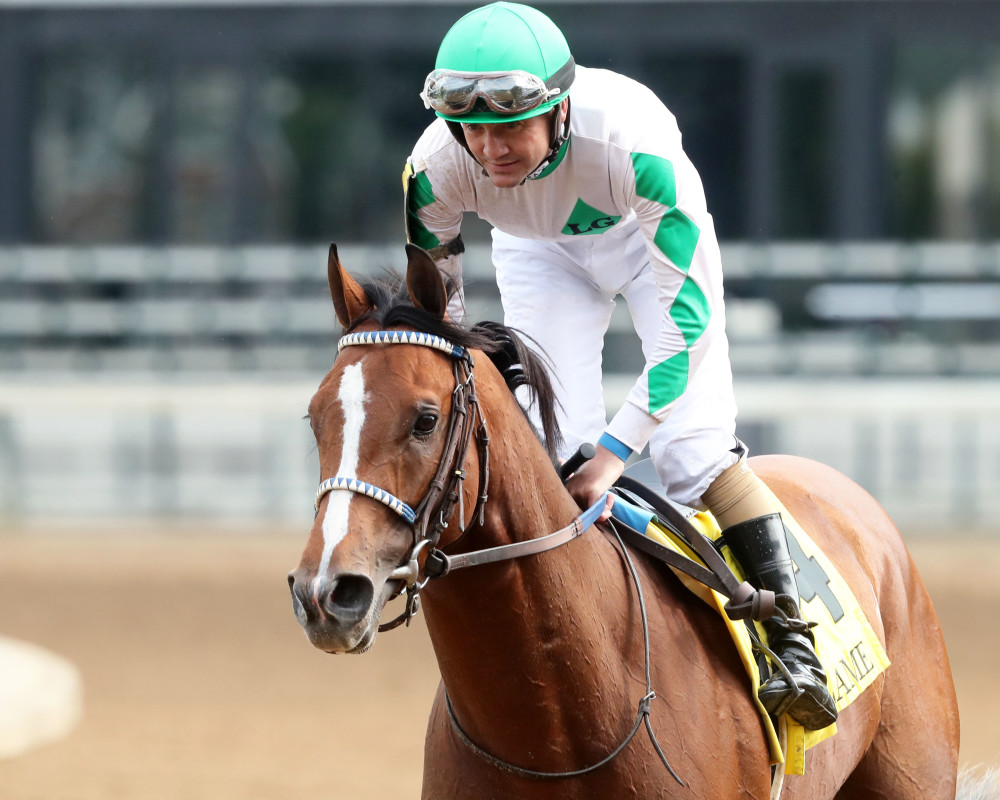 Mystik Dan Breezes Toward Stephen Foster
