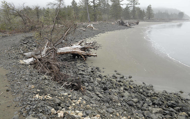 Coastal town erosion: Waves, sand, and human intervention