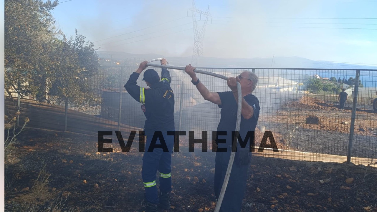 Χαλκίδα: Δύο πυρκαγιές μέσα σε λίγα λεπτά – Κινδύνεψε αποθήκη εργοστασίου