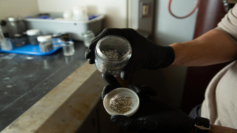 MIT breakthrough: 90% cleaner hydrogen fuel made from seawater and ... MIT breakthrough: 90% cleaner hydrogen fuel made from seawater and ...