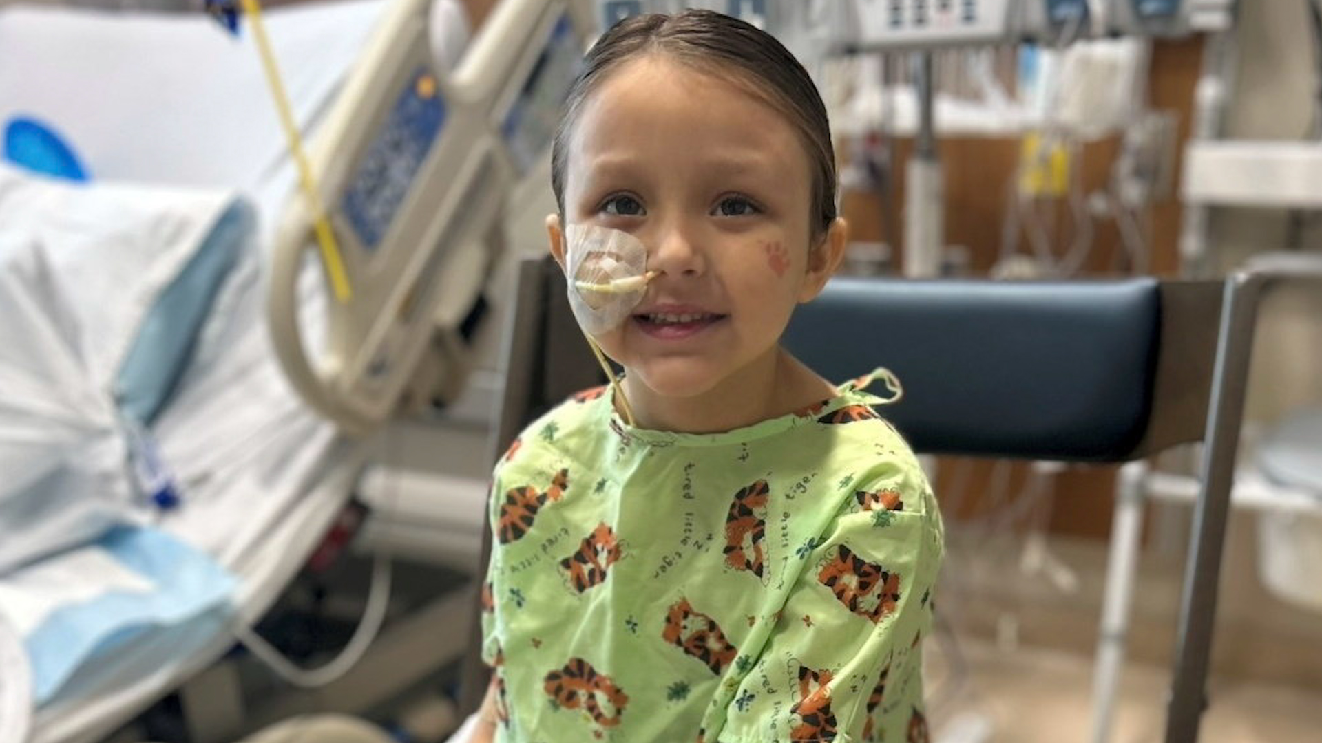 Girl, six, with rare liver condition receives life-saving transplant ...