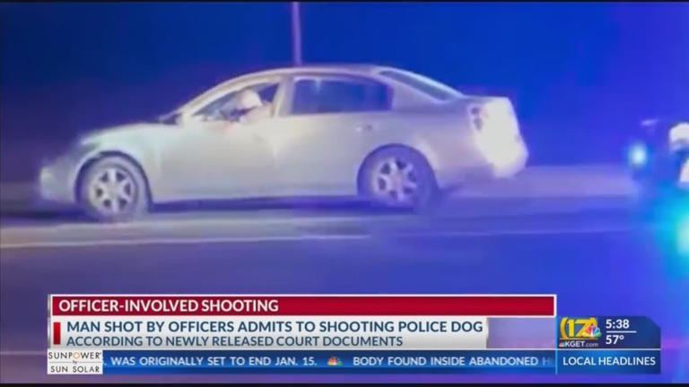 Man pleads no contest to shooting Delano K-9