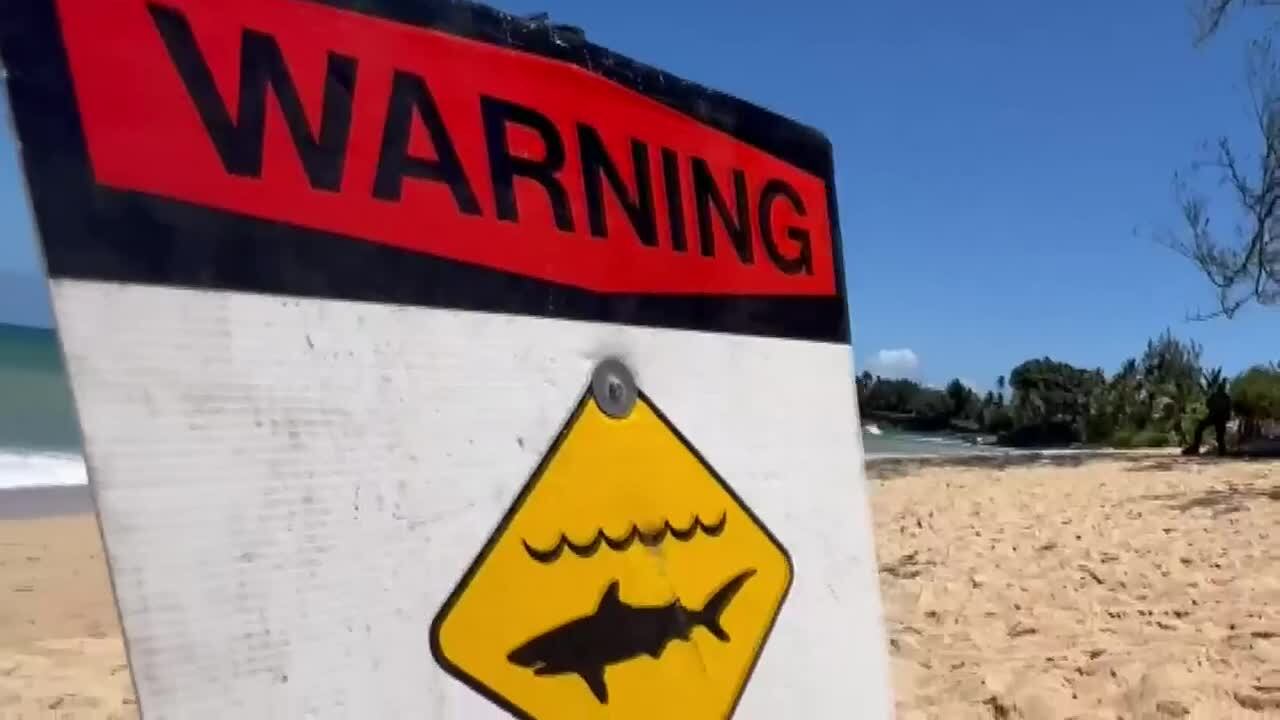 Ocean Safety confirm ‘aggressive’ shark sighting at Makaha beach