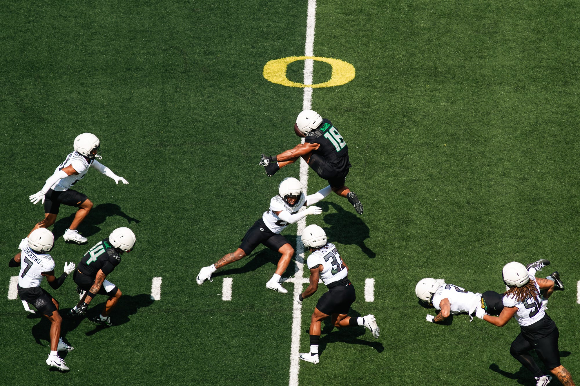 Oregon Football's Kenyon Sadiq pegged as breakout NFL draft riser for 2025