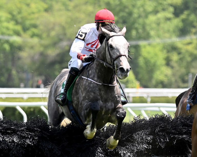 Proven Innocent Jumps To Late-Running Score In Beverly R. Steinman