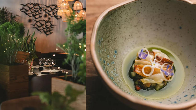 Five new restaurants have been awarded a star in the Michelin Guide ...