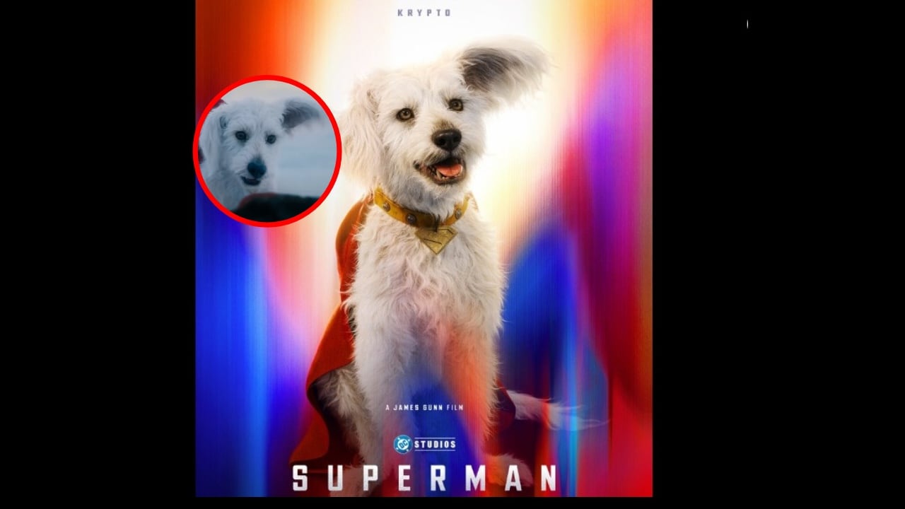 ¿Cuáles son los poderes de Krypto, el fiel compañero de Superman?