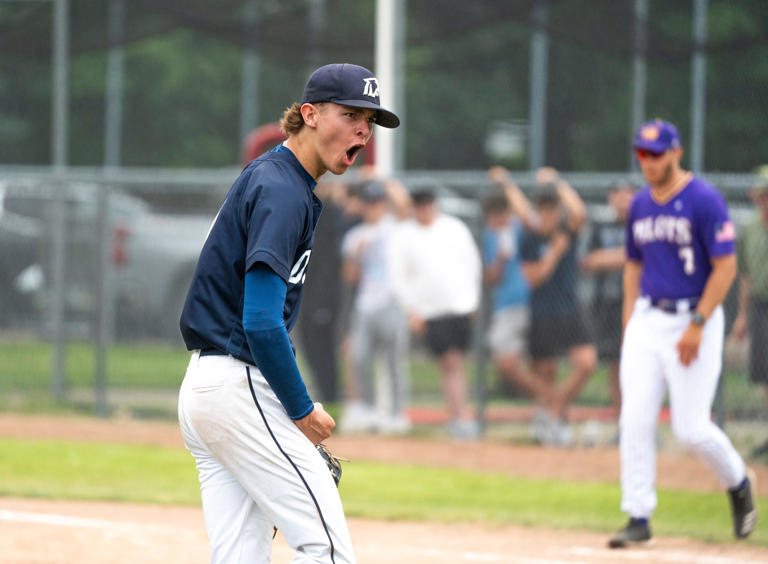 MHSAA baseball: Evan Morrison, Ryan Petrovitch push Macomb Dakota to ...
