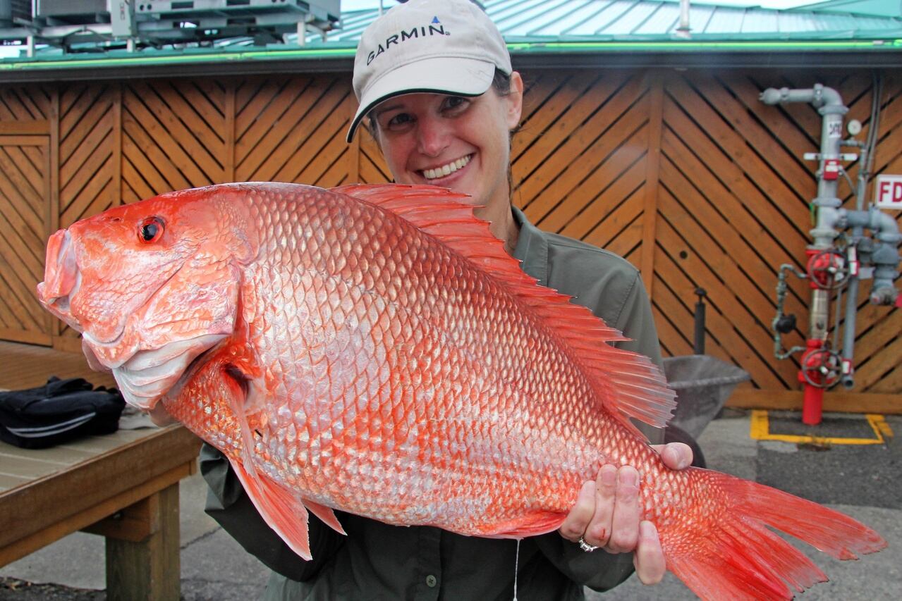 Red Snapper season put on pause by a federal court just one day before ...