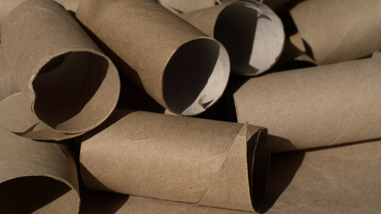 Reuse Toilet Paper Rolls In A Creative Way To Keep Bathroom Essentials ...