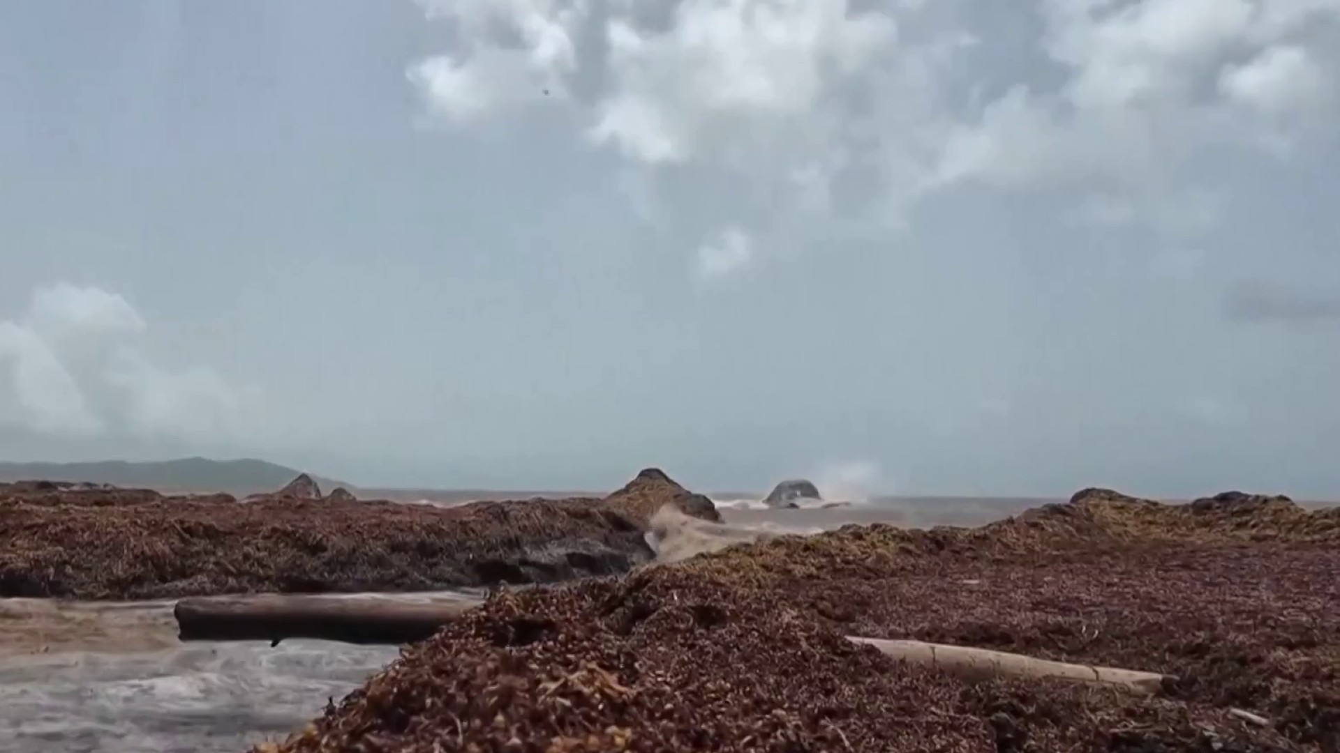 Record seaweed bloom stinks up prime Caribbean vacation beaches