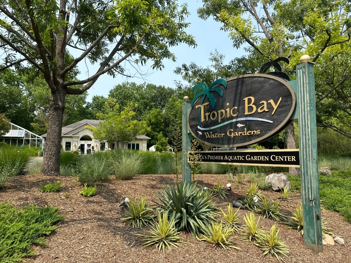 Davidsonville Murder Suspect Worked For Victim, Break-In Reported ...