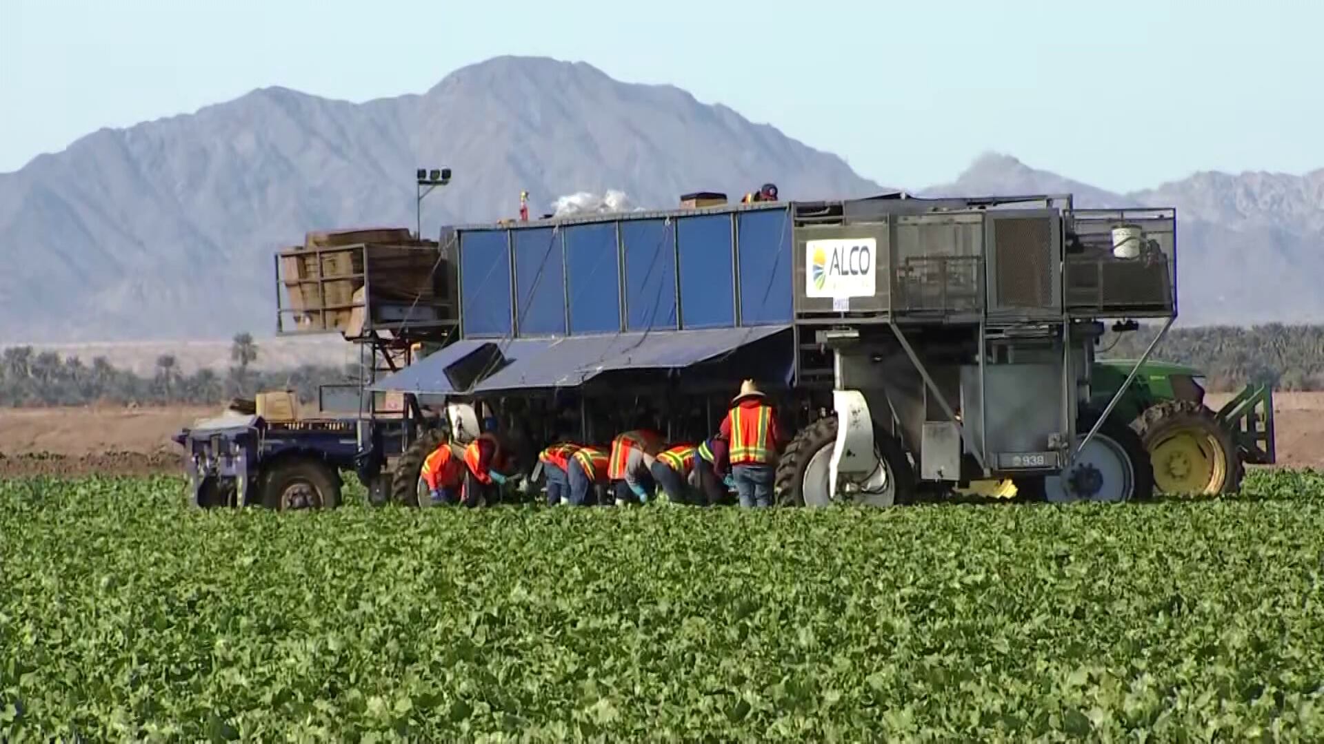 Farm labor shortages raise concerns as deportation policies tighten