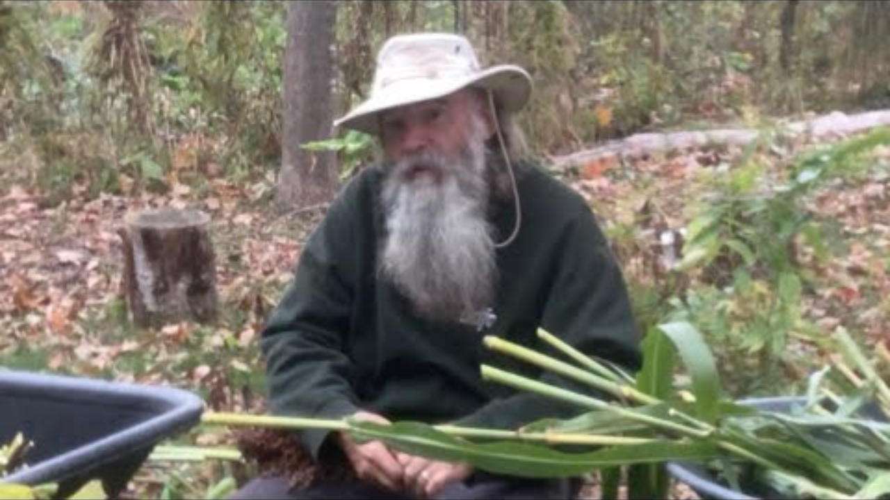 Processing Sorghum Grain & Explaining the Essence of Permaculture ...
