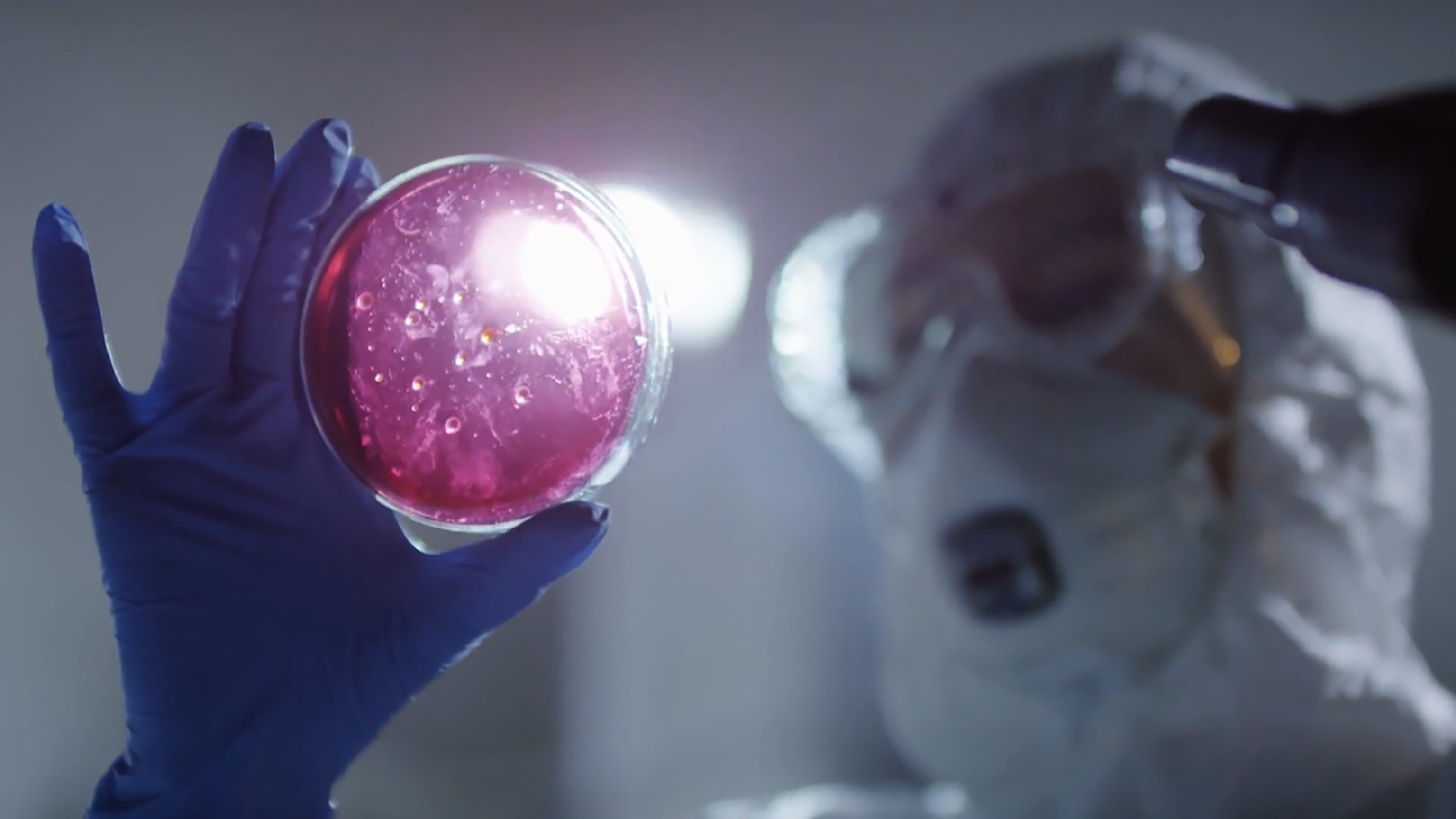 What to know about the biological pathogen allegedly smuggled into the US