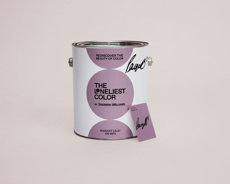 6 interior designers on how they would use Sherwin-Williams' most ...