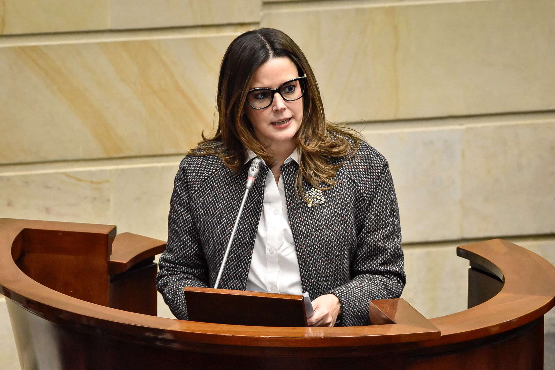 Lina Marcela Escobar, nueva magistrada de la Corte Constitucional, no ...