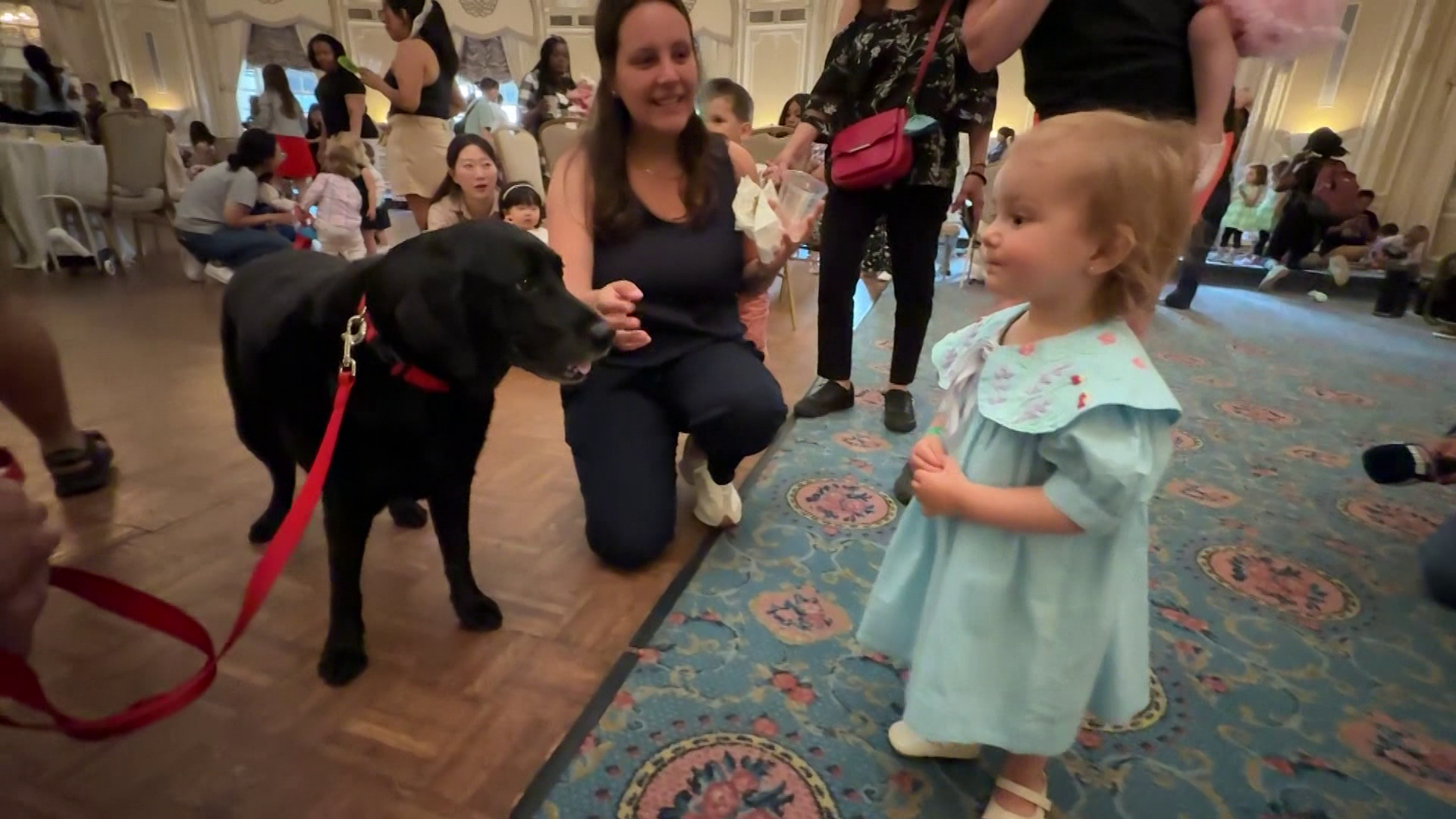 Baby Prom brings joy to Boston families, promotes early learning
