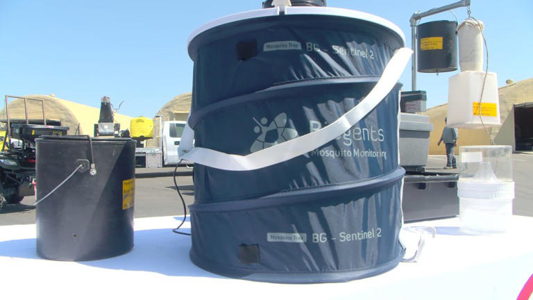 Kern Public Health names June ‘Vector-borne Disease Month’