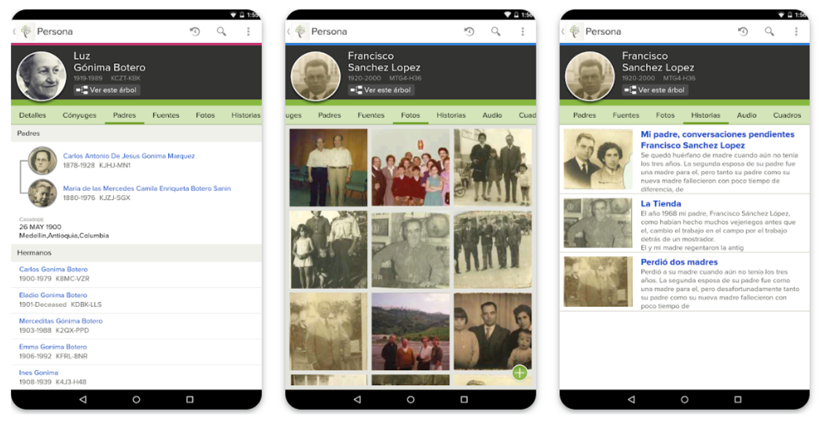 Crea tu propio árbol genealógico con la app FamilySearch: Guía completa ...