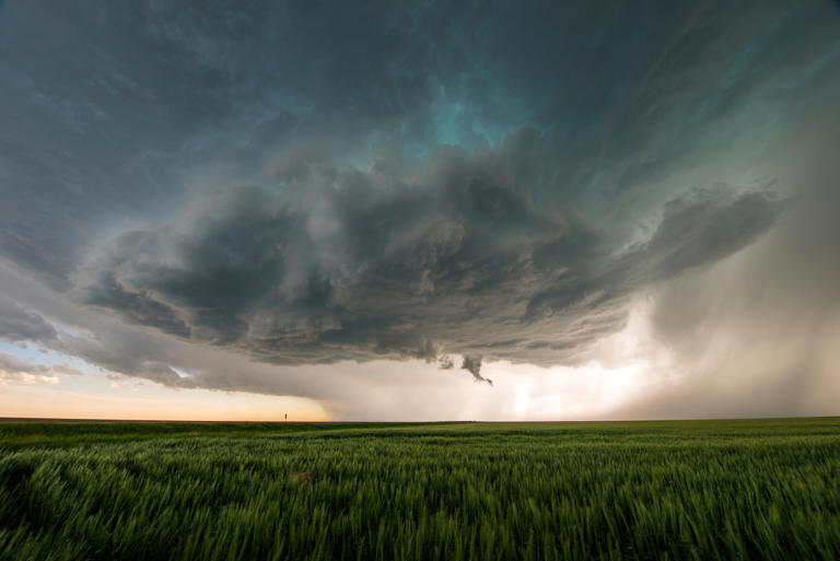 Is Alabama now part of Tornado Alley? What to know about new path
