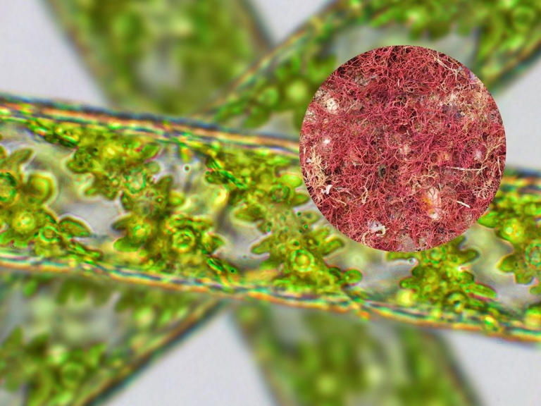 Two-Vehicle Crash Damages Utility Pole In Colts Neck: Police